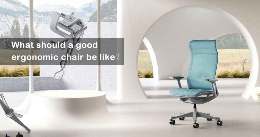 Ergonomic Chair Buying Guide: Key Features | VASEAT